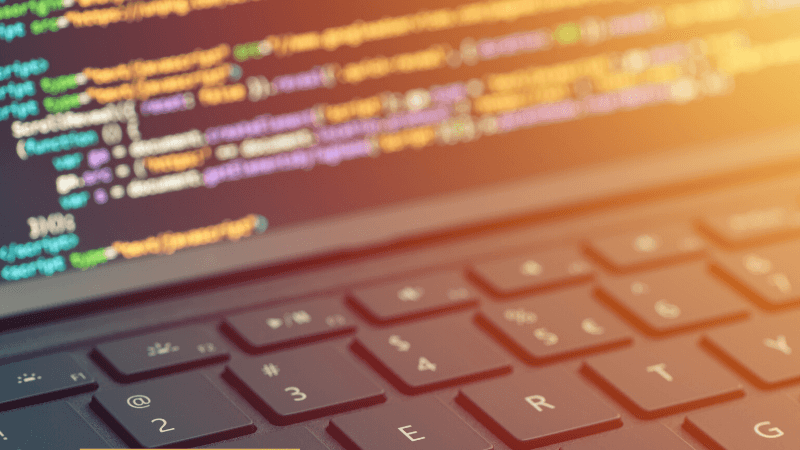 Insights From Our 2020 .Net Developer Report | Understanding Recruitment